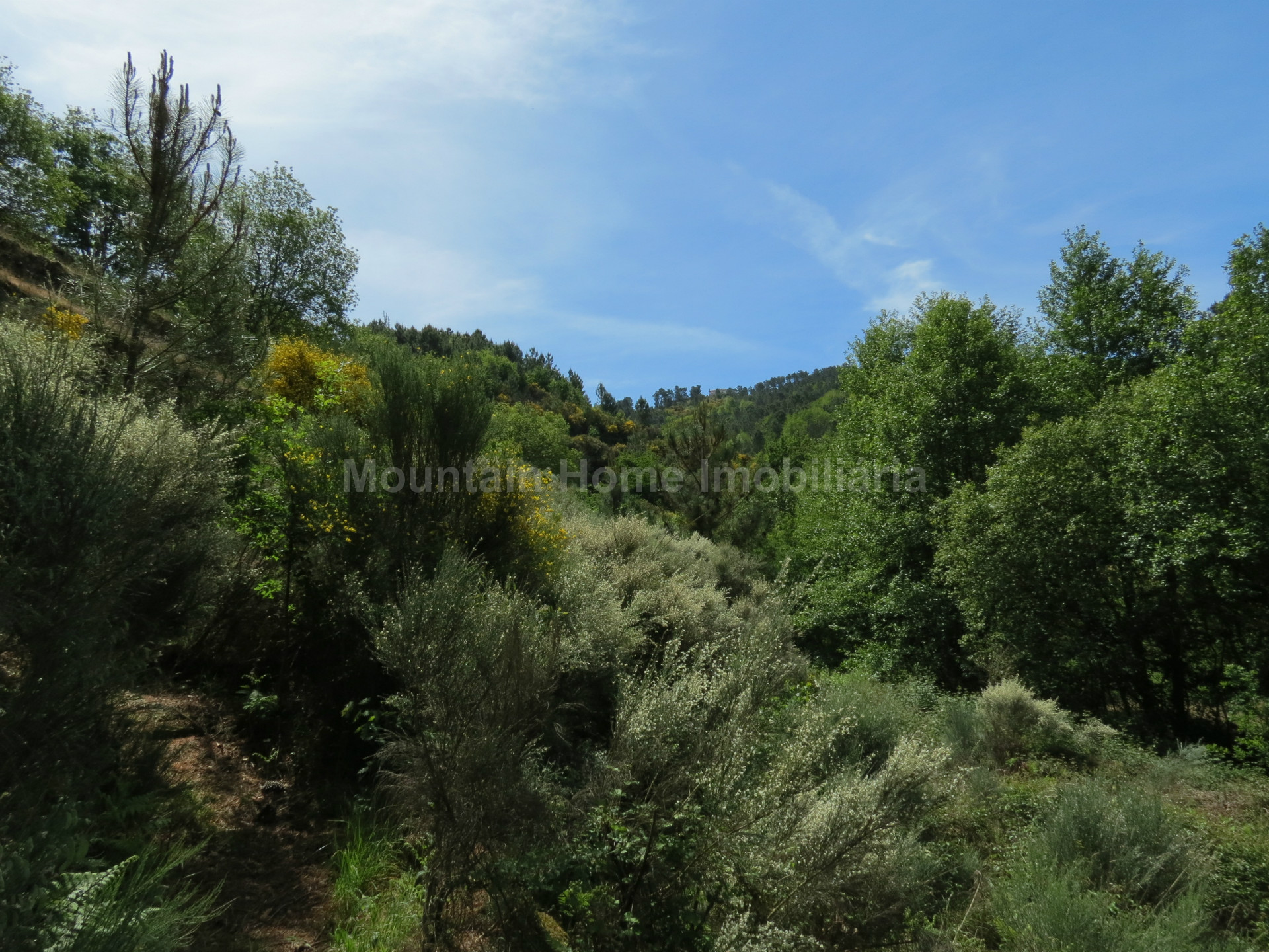 Quinta , Guarda, Seia / Venda / 80000 / Ref. 17038