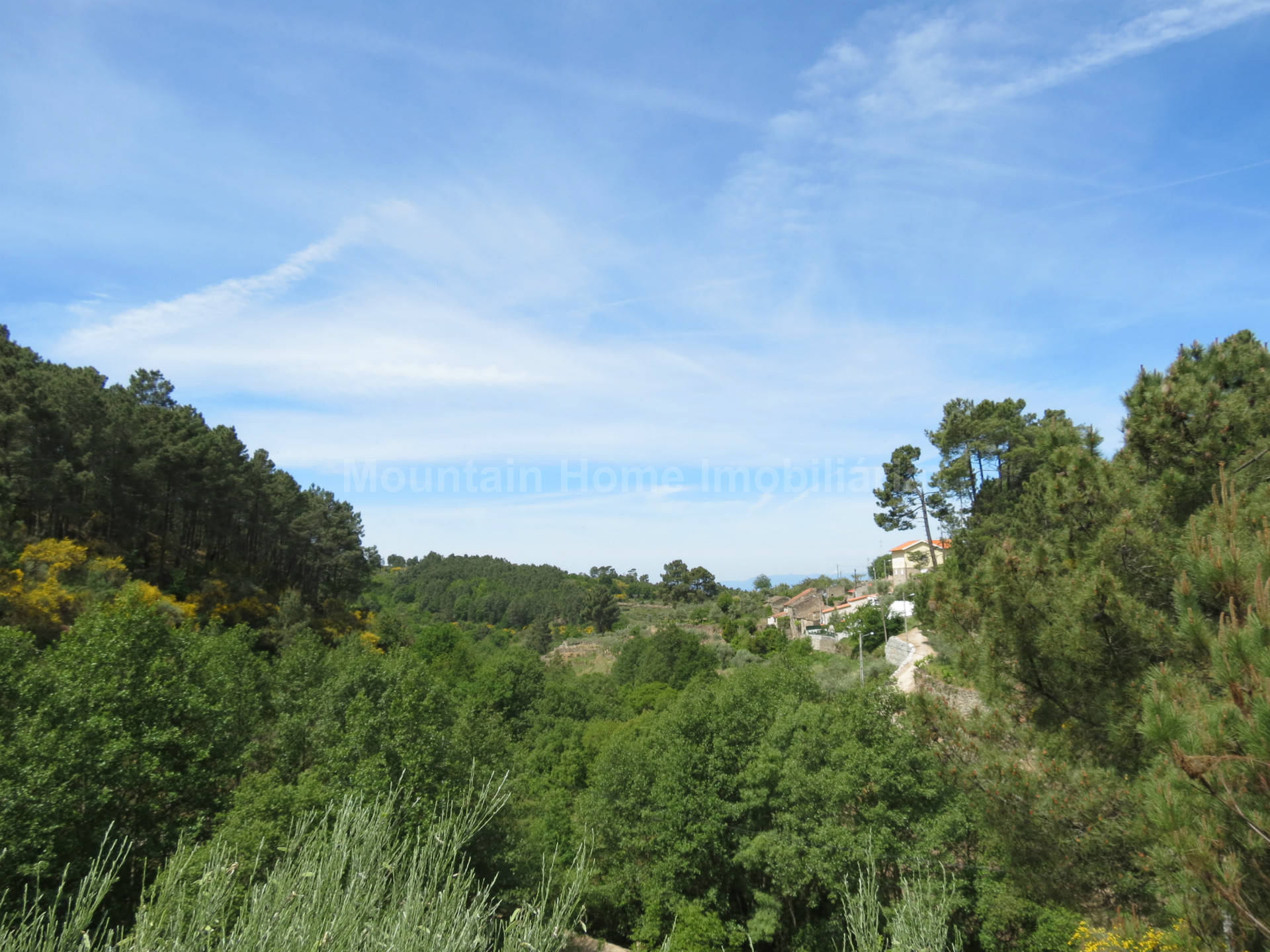 Quinta , Guarda, Seia / Venda / 80000 / Ref. 17038